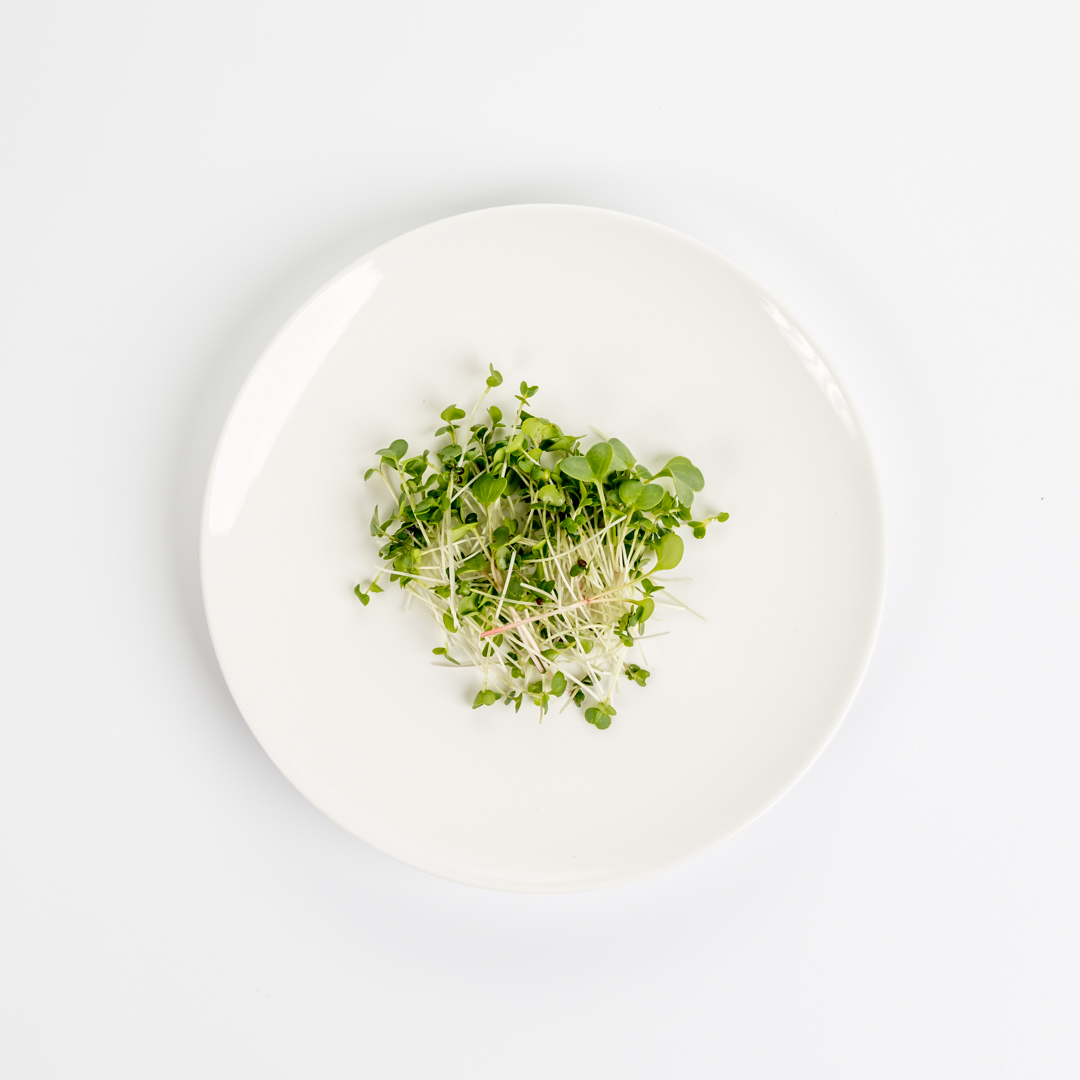Microgreens: The Secret Weapon for a Nutrient-Rich Diet - Dawn Farm